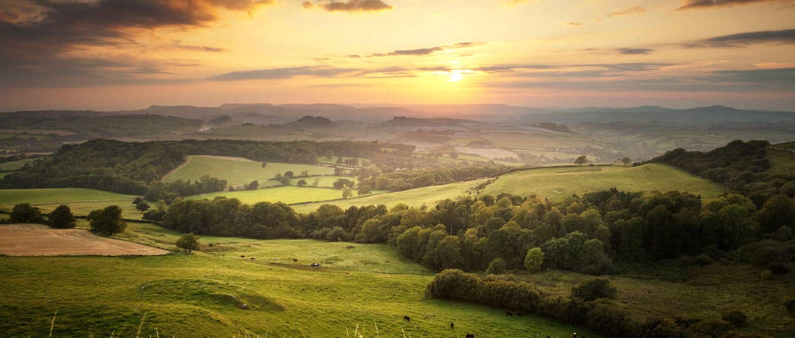 Change is coming to the Dorset countryside - Cratus Group