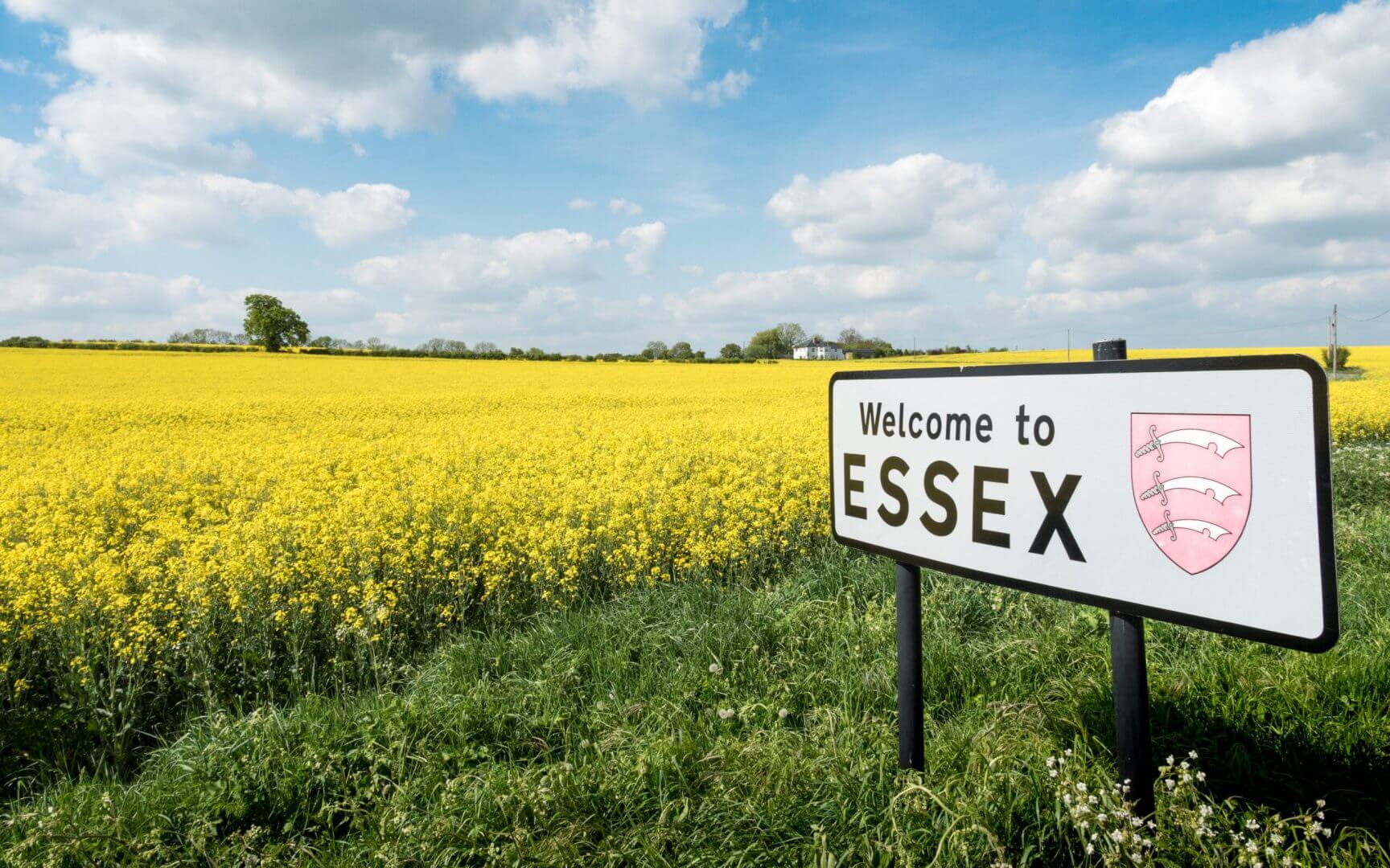 Local Elections: Essex overview - Cratus Group