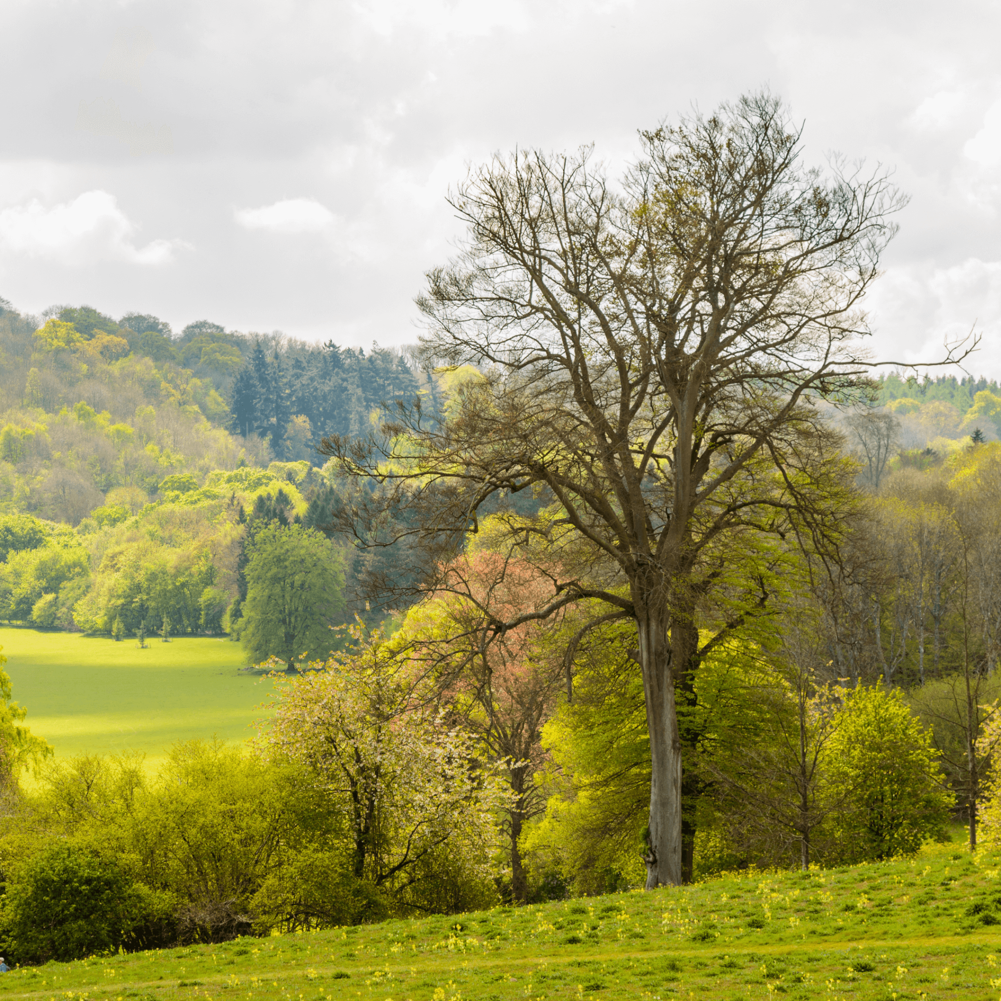 Hampshire Devolution Back on the Cards - Cratus Group